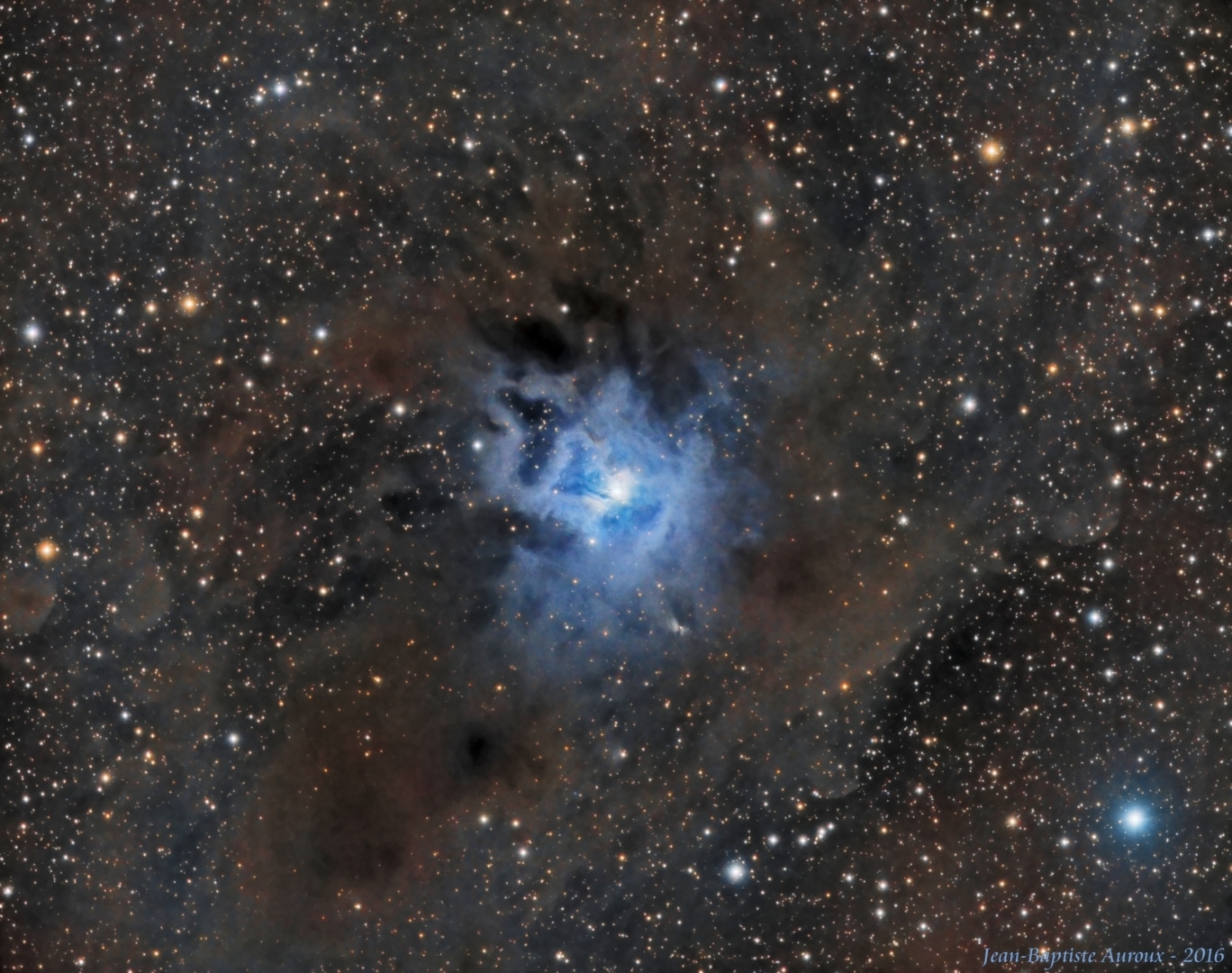 NGC 7023 – Nébuleuse de l’Iris – Photon Millenium