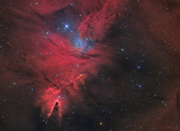 Région de NGC 2264 (nébuleuses « Fox Fur » et du Cône) – Photon Millenium