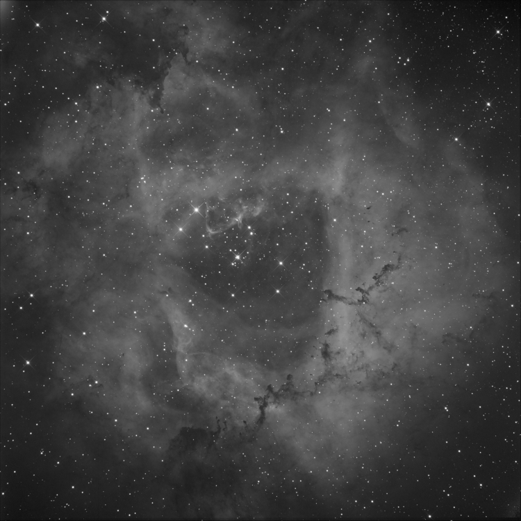 NGC 2237 – Nébuleuse de la Rosette – Photon Millenium